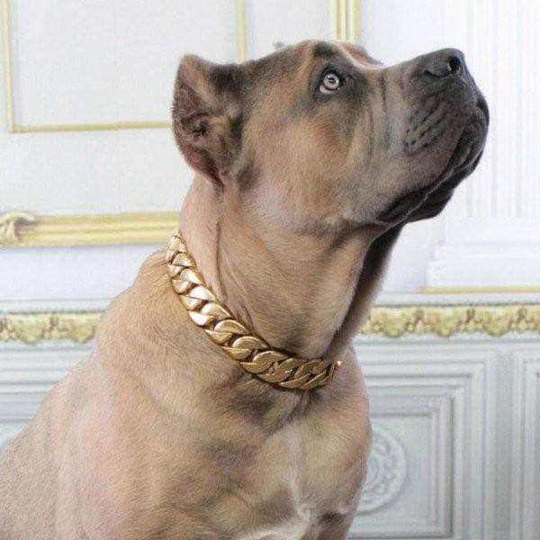 THE KILO Gold Cuban Link Dog Collar XL - Luxury Premium - BIG DOG ...