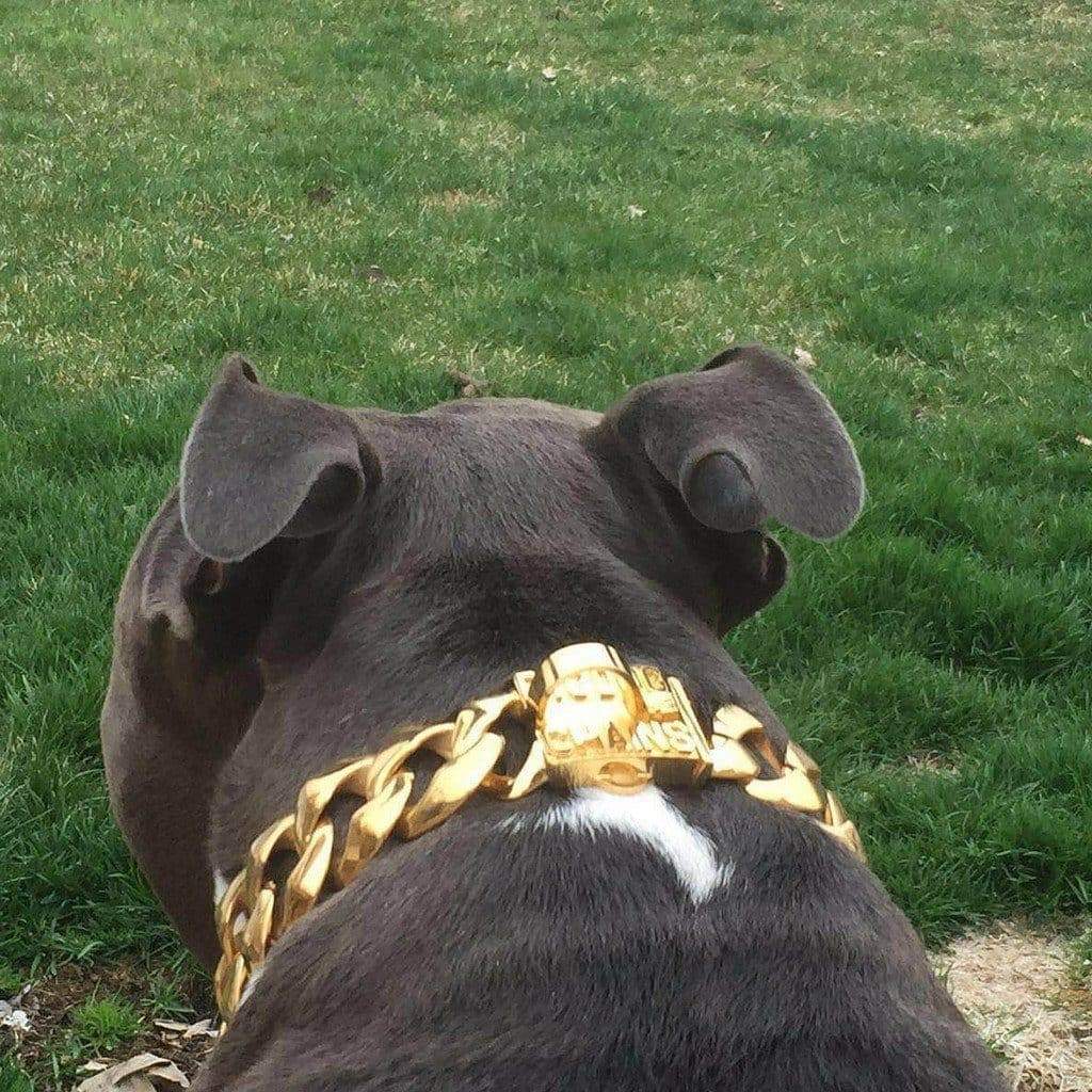 THE R.I.C.O. Luxury Gold Dog Collar Cuban Link - Premium Jewelry Grade ...